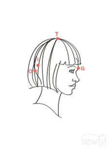 Anatomical and Anthropometric Landmarks - Sewist