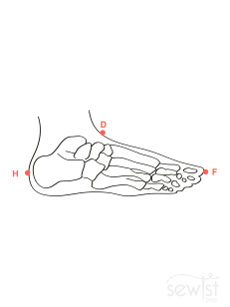 Anatomical and Anthropometric Landmarks - Sewist